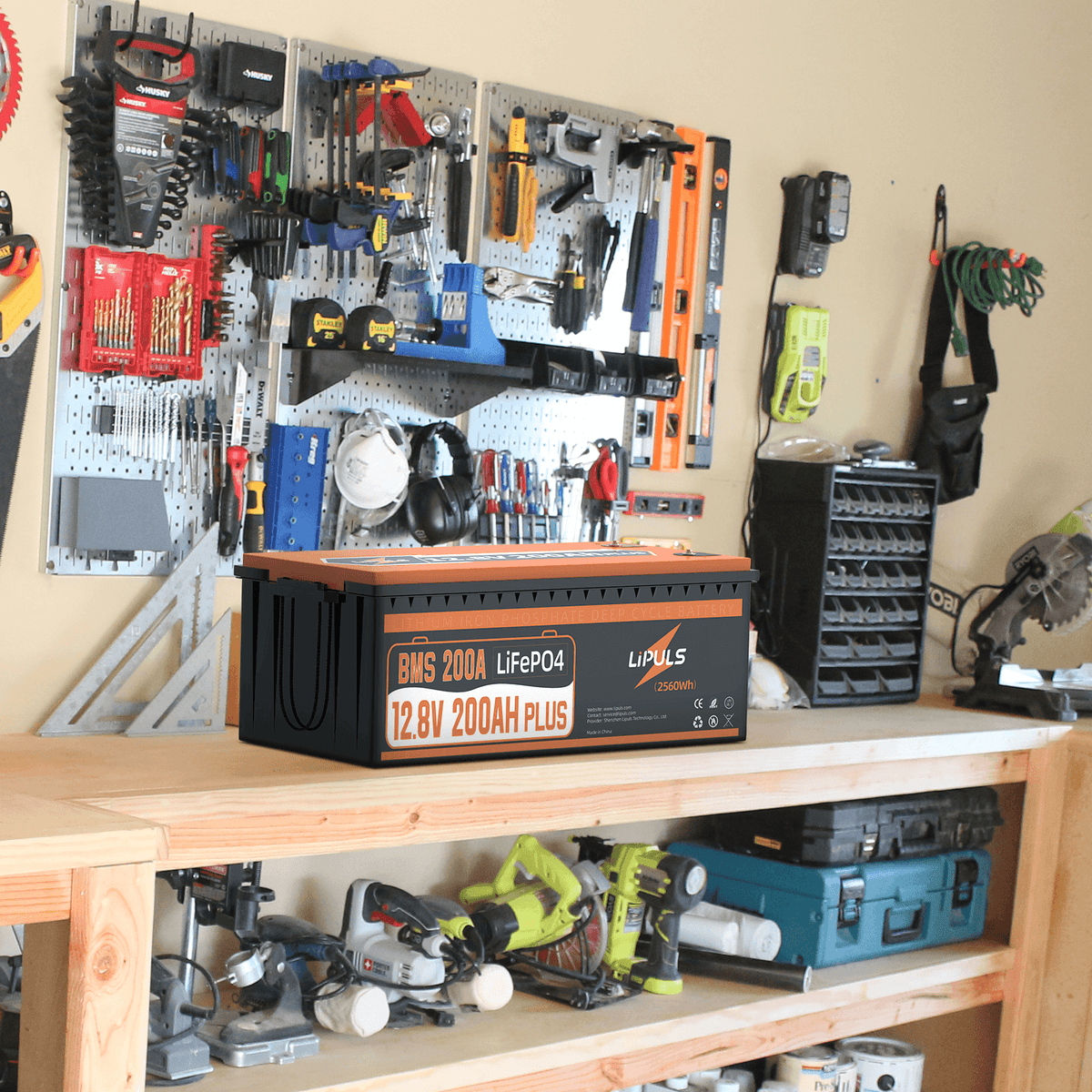 LIPULS 12V 200Ah Plus Lithium LiFePO4 Battery - Enhanced Power for ...